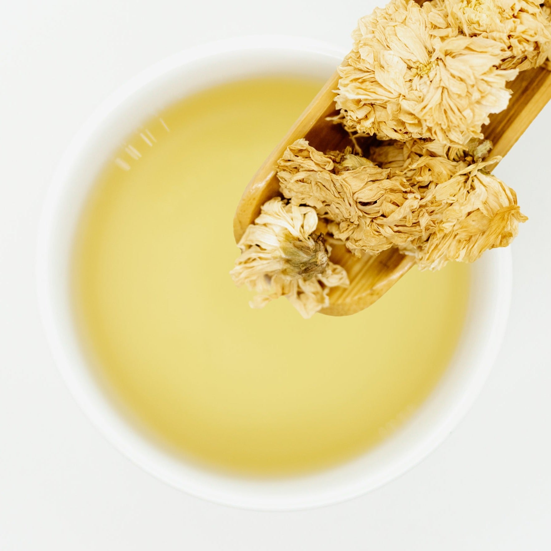 Chrysanthemum – TeaLight Teas