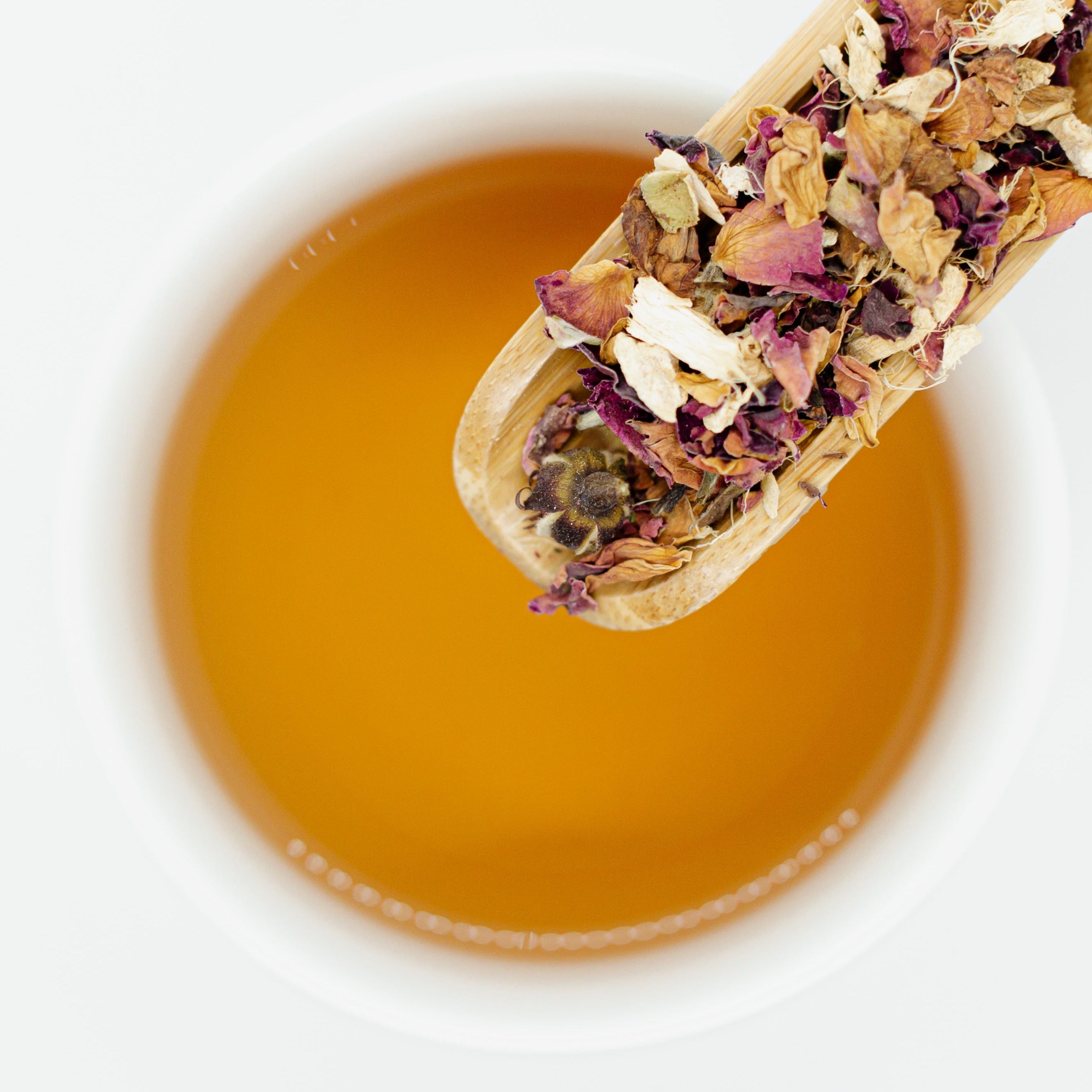 Ginger Rose – TeaLight Teas